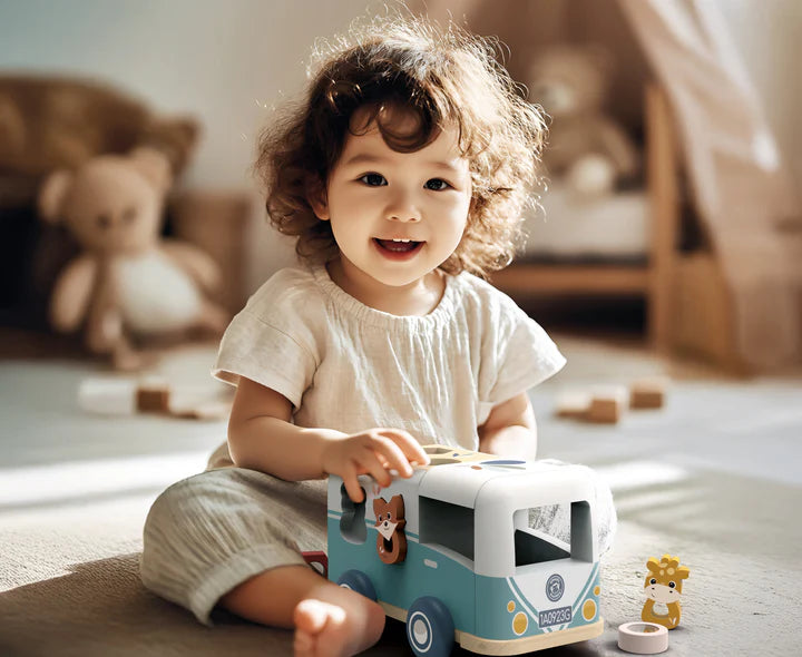 Wooden Van Shape Sorter – Healthy Moms