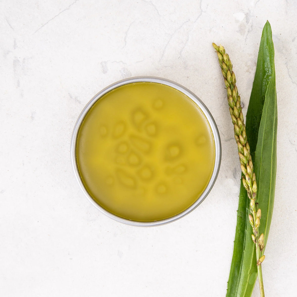 All Heal Salve – Healthy Moms